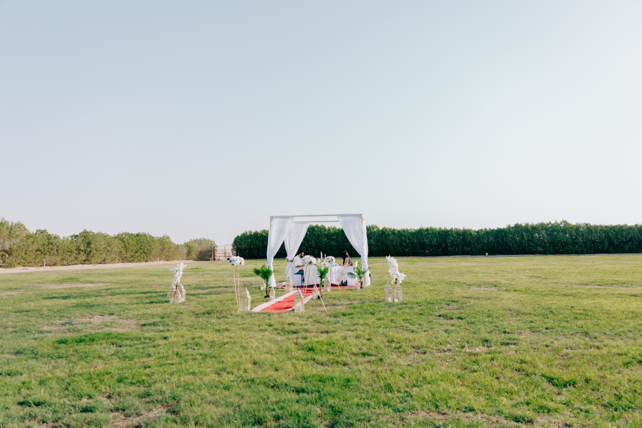 Dubai Desert Proposal: Romantic LED Letters in 2025